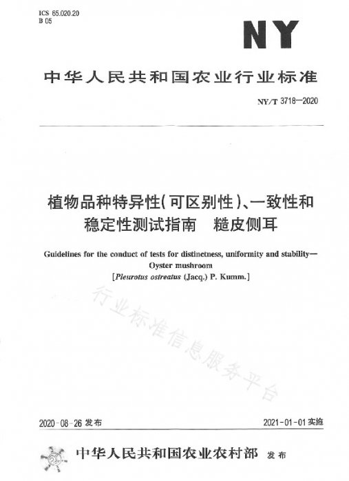 NY/T 3718-2020 植物品种特异性（可区别性）、一致性和稳定性测试指南糙皮侧耳 标准