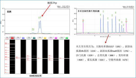 你是不是还缺一款Qsep全自动核酸电泳仪？？ - 台湾光鼎生物（Bioptic Inc.）科技股份有限公司 - 分析测试百科网