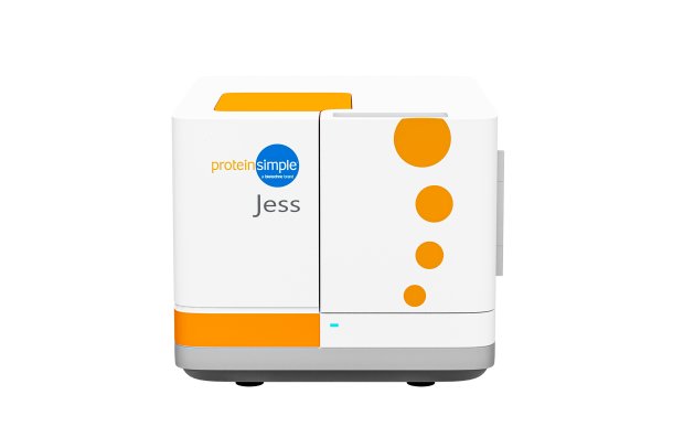 Jess 全自动多功能蛋白质表达定量分析系统-Bio-Techne （安迪生物）