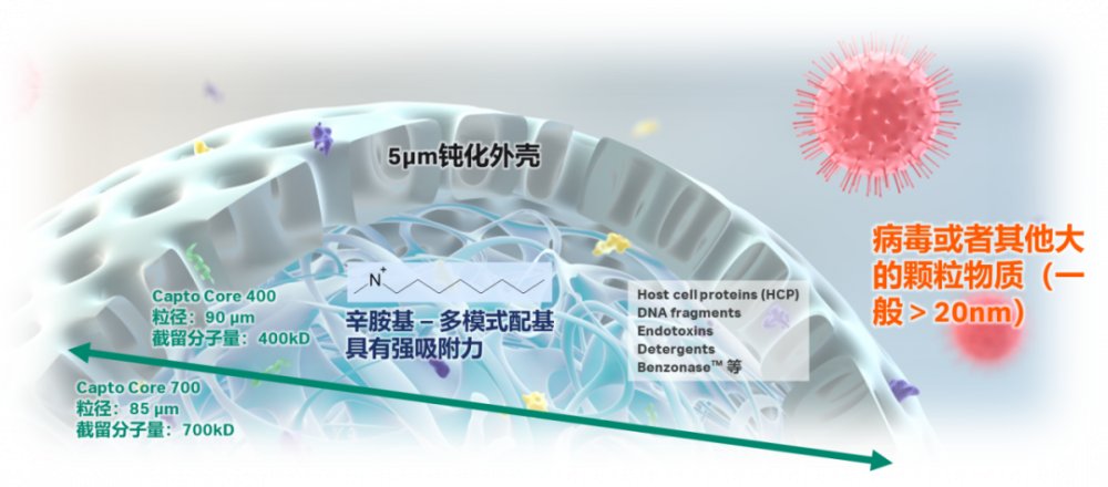 Capto Core填料使用指南-微信文章-仪器谱