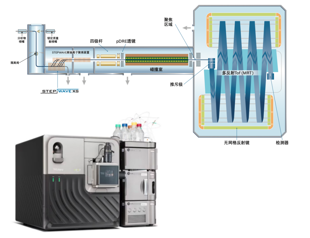 聚焦Xevo MRT多元应用 | 从稳定性到覆盖率，重构肠道代谢组学新范式！-微信文章-仪器谱