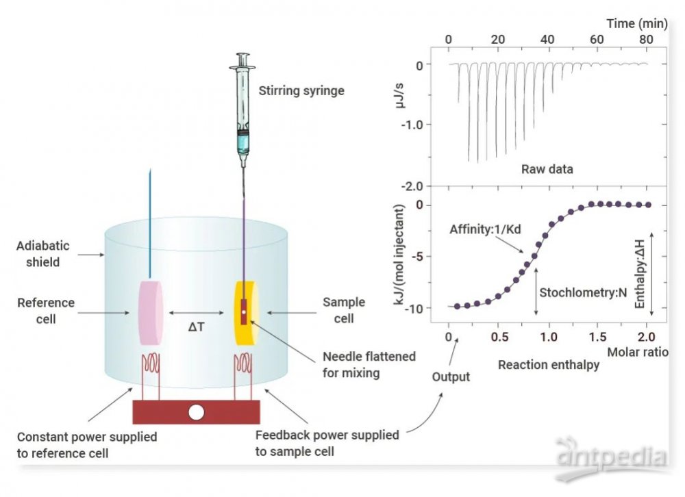 干货分享 | 分子互作大比拼，SPR、ITC、MST、BLI，谁才是最强王者？