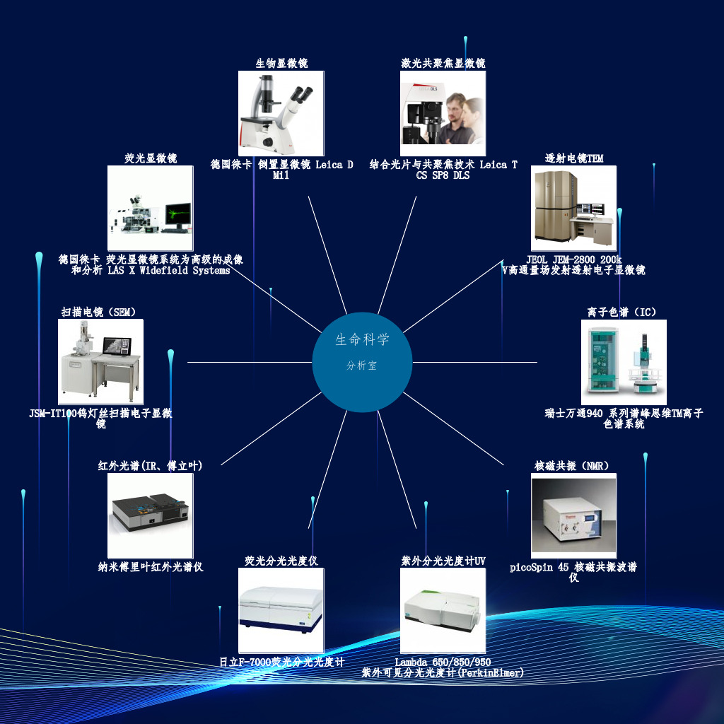 Lambda 650/850/950紫外可见分光光度计(PerkinElmer)搭建生命科学实验室分析室的高效方案 - 实验室仪器选择