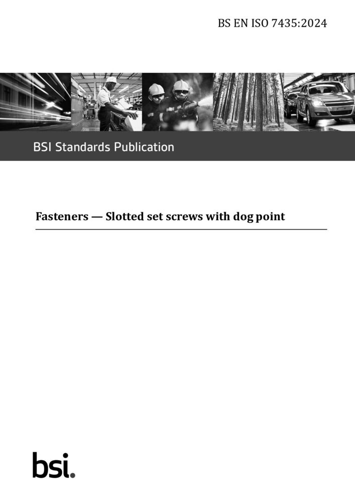 BS EN ISO 7435:2024 紧固件 开槽圆柱端紧定螺钉 标准全文